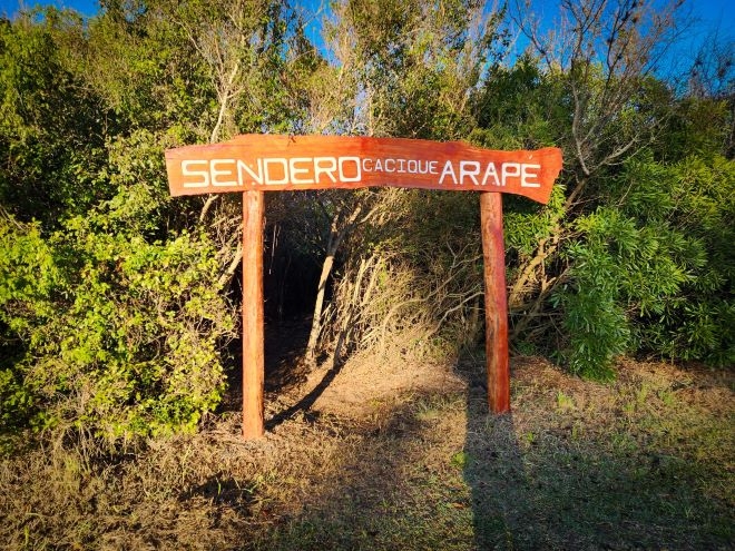 SENDERO NATIVO DEL CACIQUE ARAPÉ EN TERMAS DEL ARAPEY | Intendencia de ...